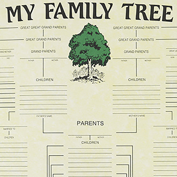 Treasure Gurus Large Genealogy Family History Tree Genetic Ancestry ... Treasure Gurus Large Genealogy Family History Tree Genetic Ancestry ...